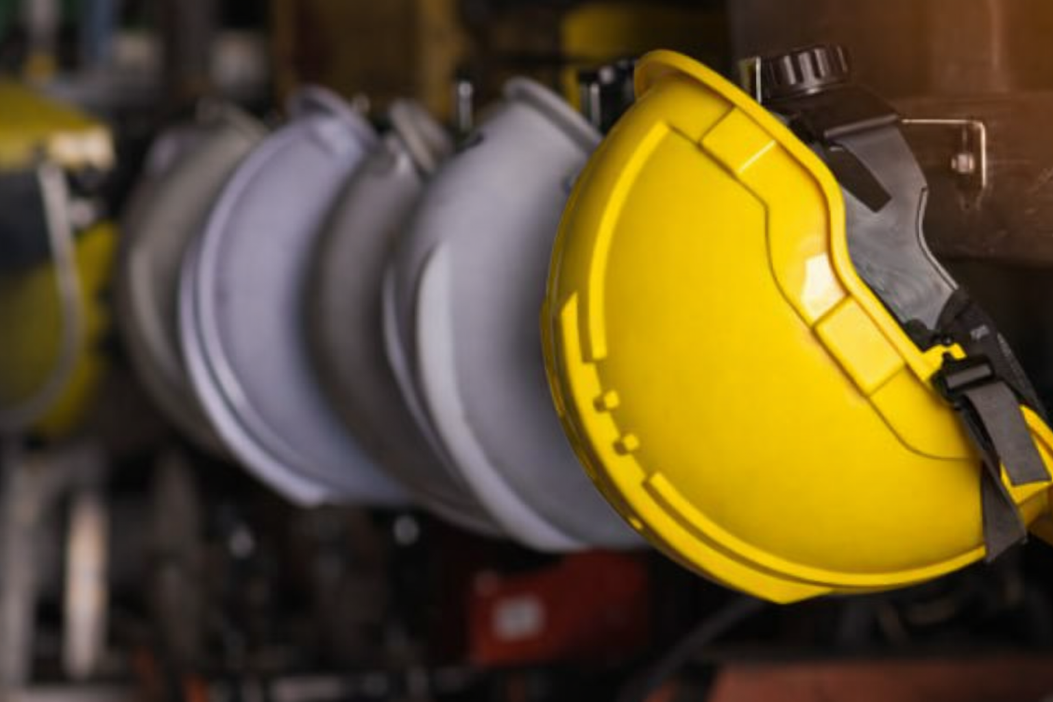 Head Protection – Shield Souq